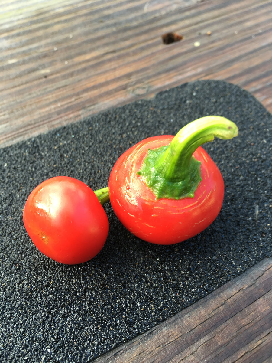 Cherry Bomb (Pepper Seeds) – Towns-End Chili & Spice