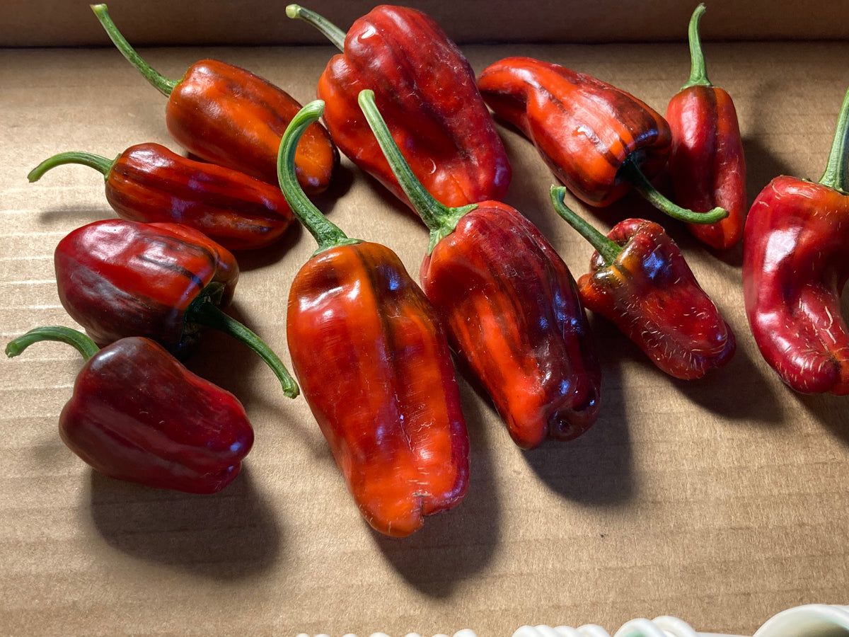 Bryan’s Blood (T-E Mix) (Pepper Seeds) – Towns-End Chili & Spice